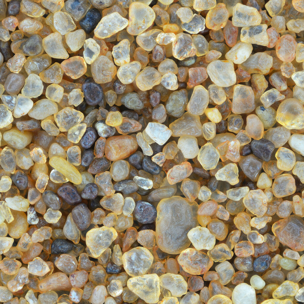 Home | Gulfstream Aquarium Supplies