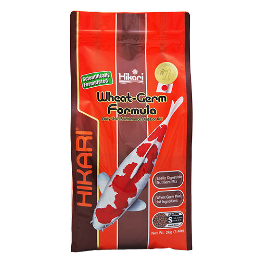 Premium Hikari Wheat Germ Mini Food for Goldfish & Ponds