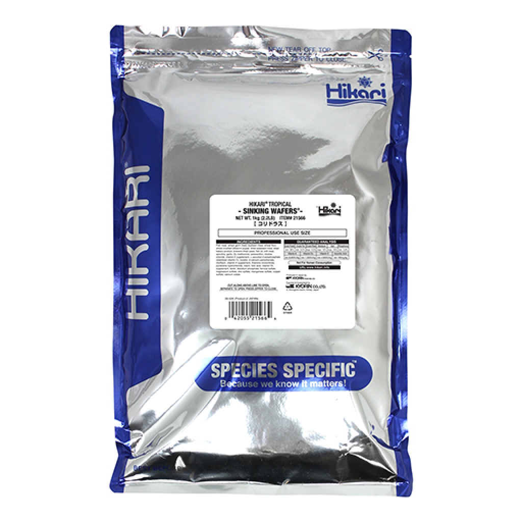 Shop Hikari Sinking Wafers - Best Freshwater Fish Food & Feeders