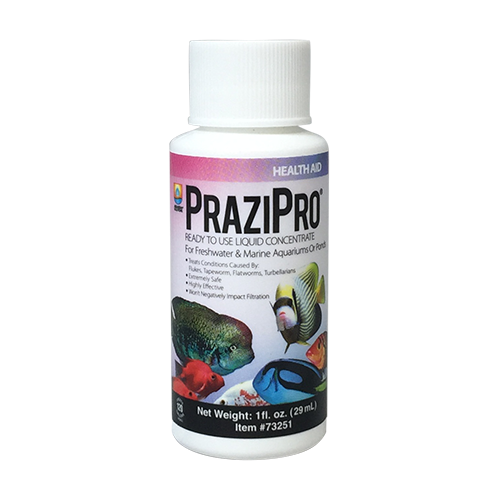Prazipro Parasite Treatment - 1 oz | Fresh & Salty Fish Care