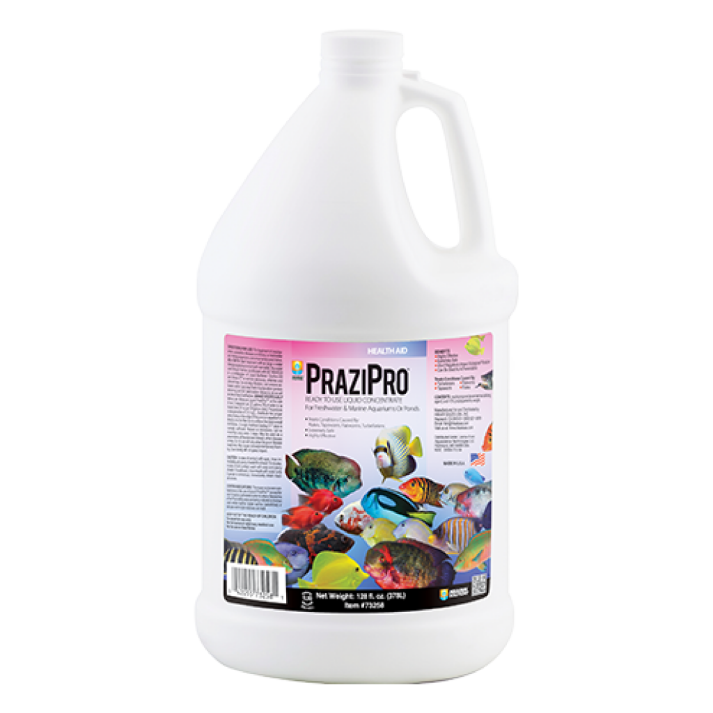 Prazipro Parasite Treatment - 1 oz | Fresh & Salty Fish Care