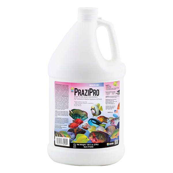 Prazipro Parasite Treatment - 1 oz | Fresh & Salty Fish Care