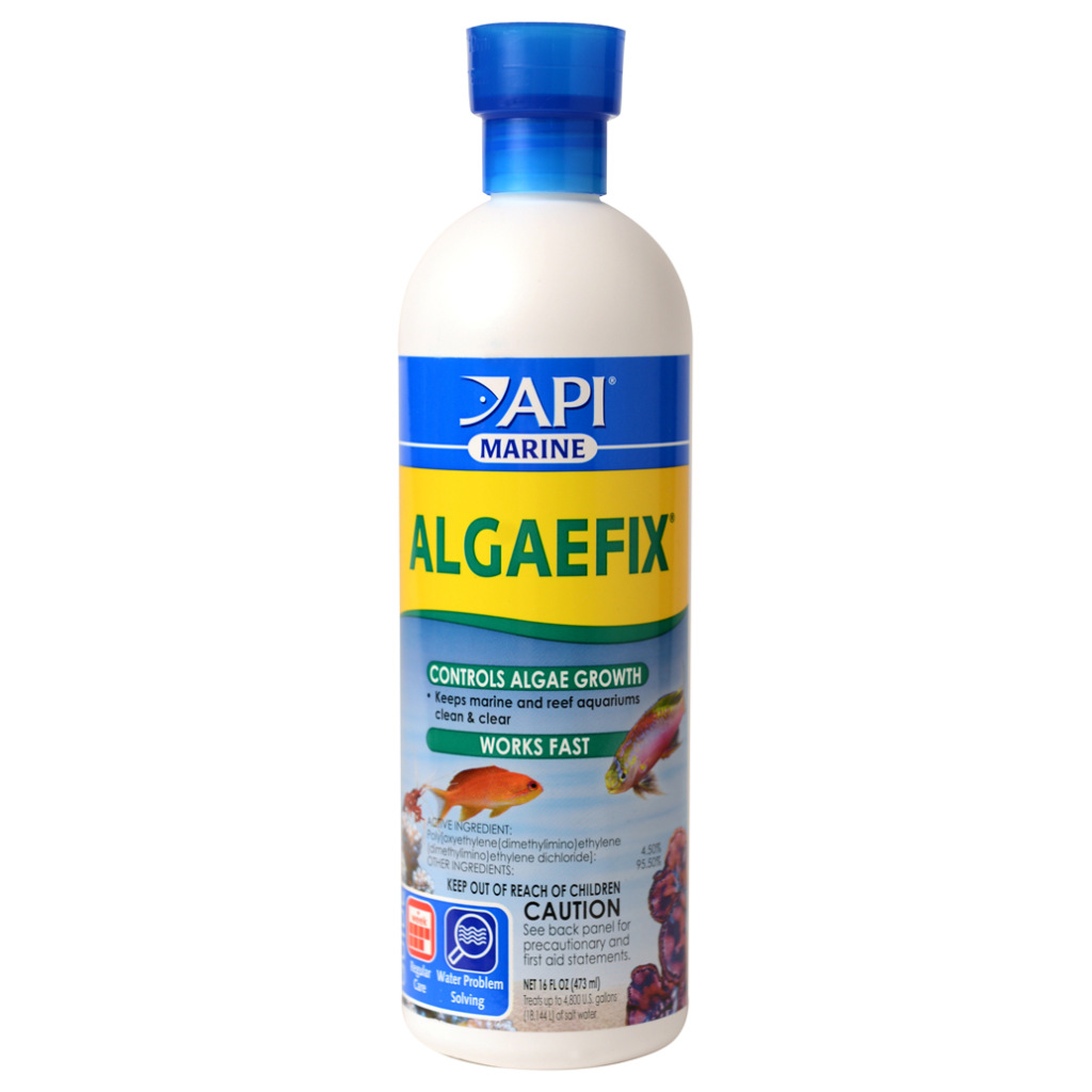 Clear Your Reef: Marine AlgaeFix 16oz | Algae Control Solution