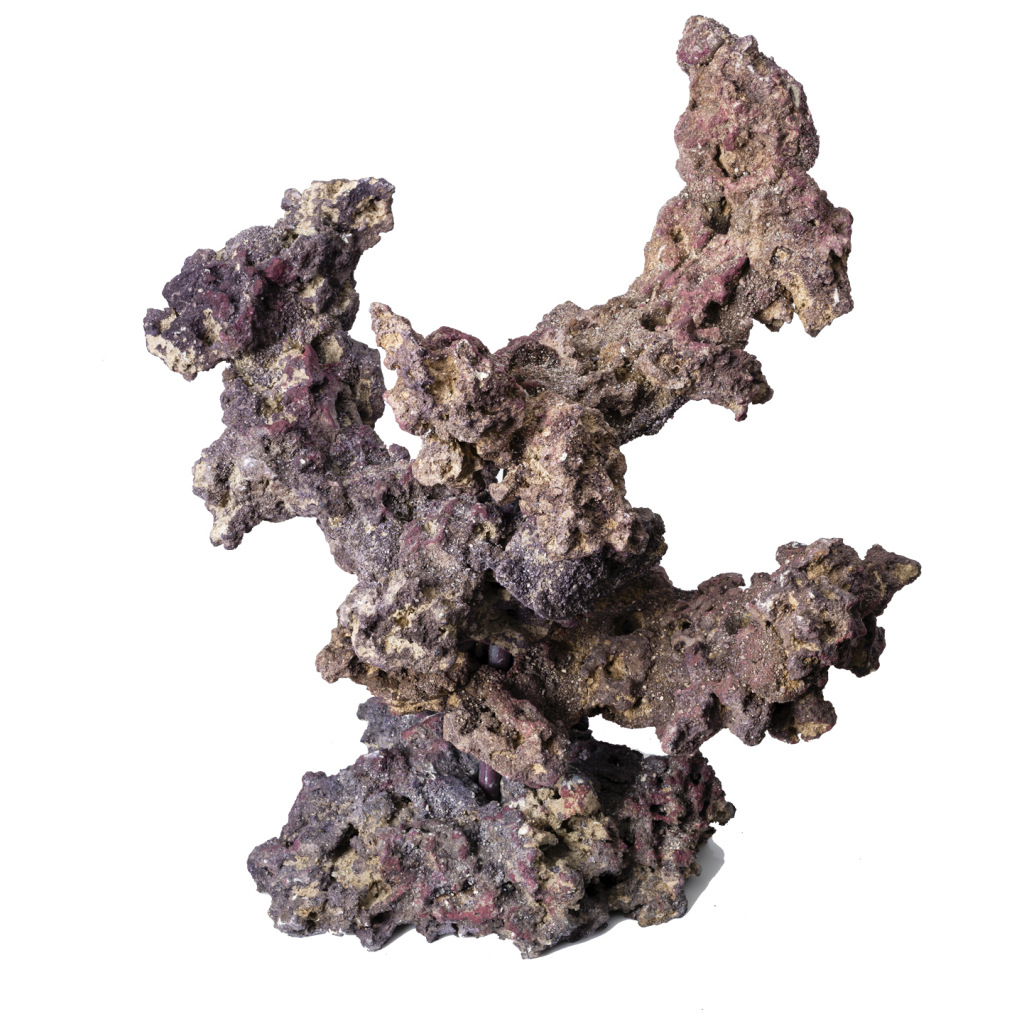 Transform your aquarium with CaribSea's LifeRock Reef Tree w/ Arches ...