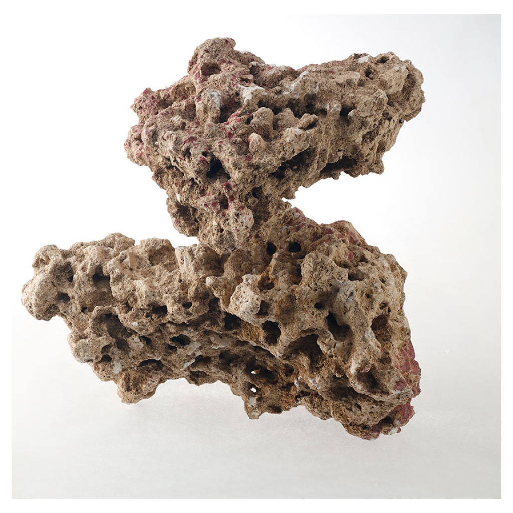Transform your aquarium with Moani Dry Live Rock (40 lbs)! Ideal for ...