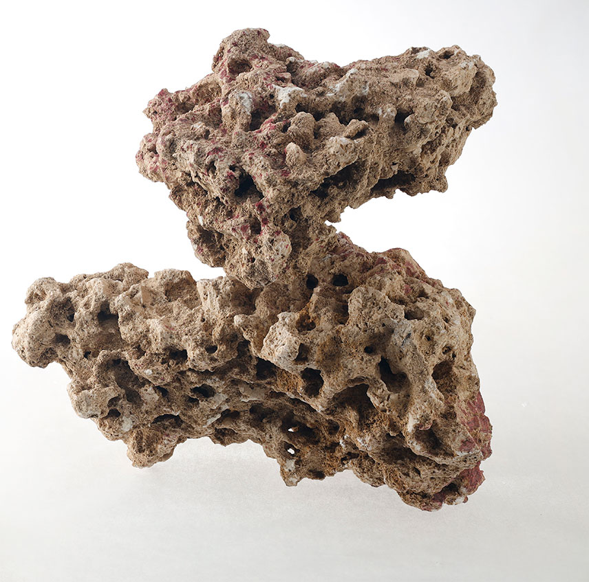 Transform your aquarium with Moani Dry Live Rock (40 lbs)! Ideal for ...
