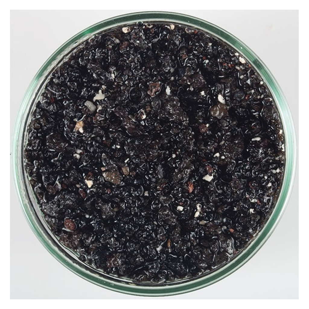 Transform your aquarium with CaribSea's Arag-Alive Hawaiian Black ...