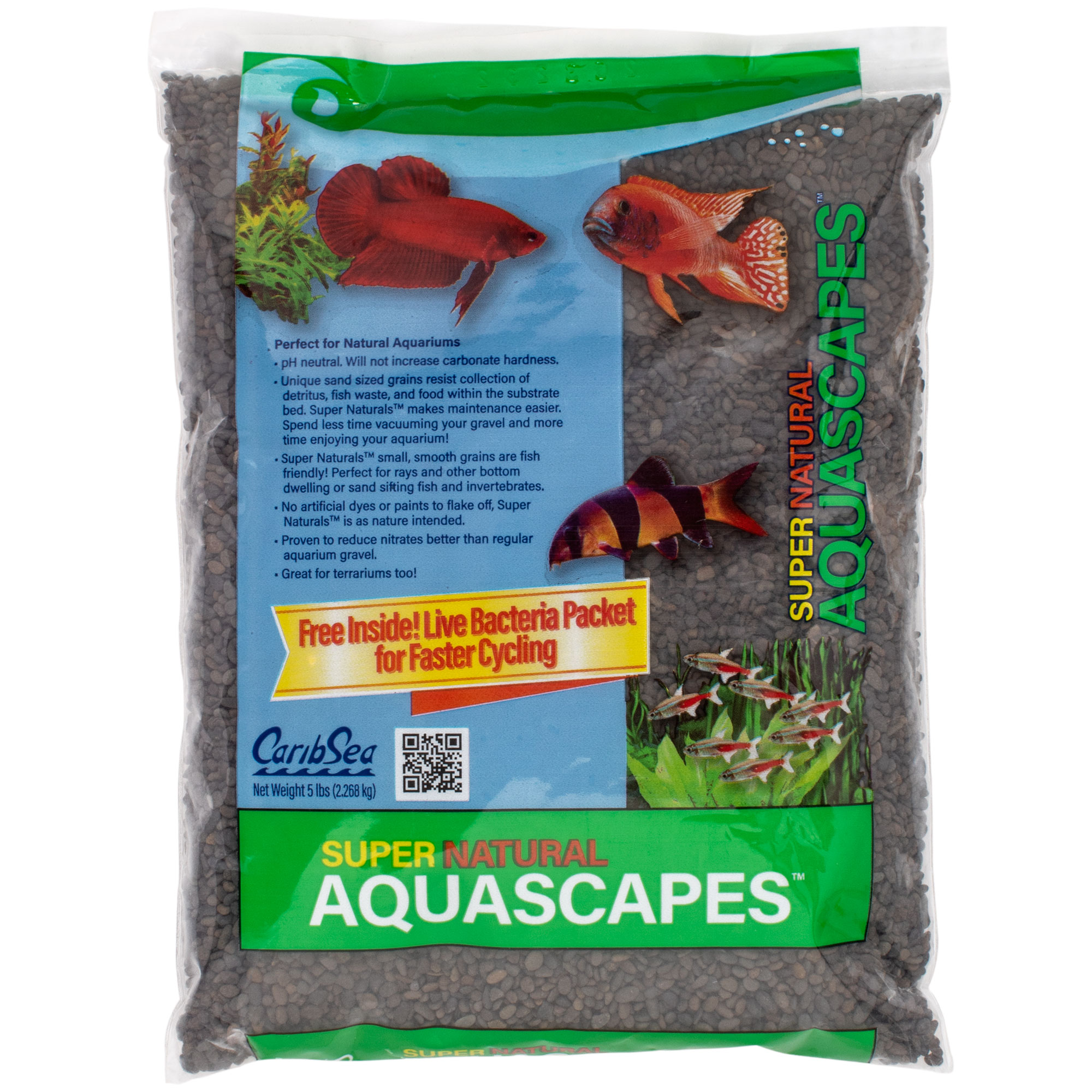 Create an enchanting underwater habitat with Super Natural Aquascapes ...