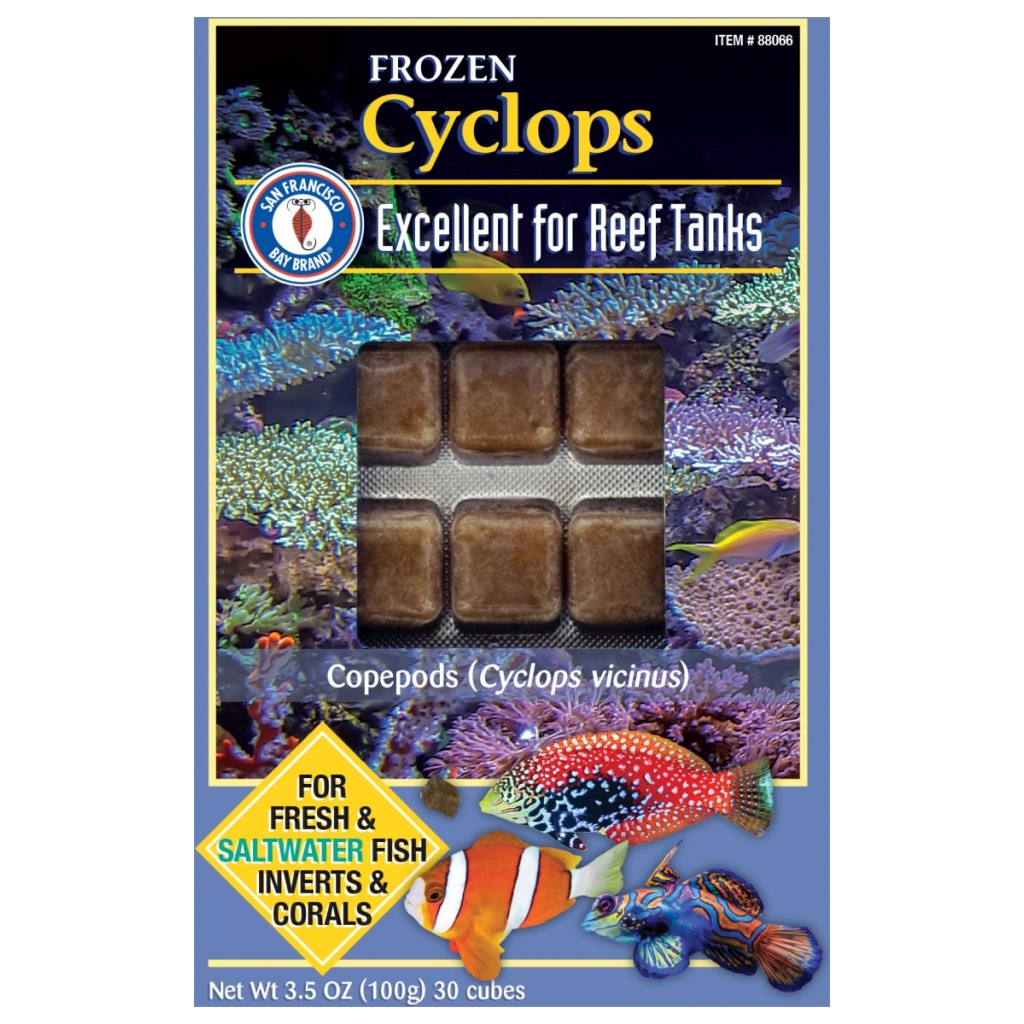 Nutritious Cyclops Cubes - 100g | Frozen Fish Food