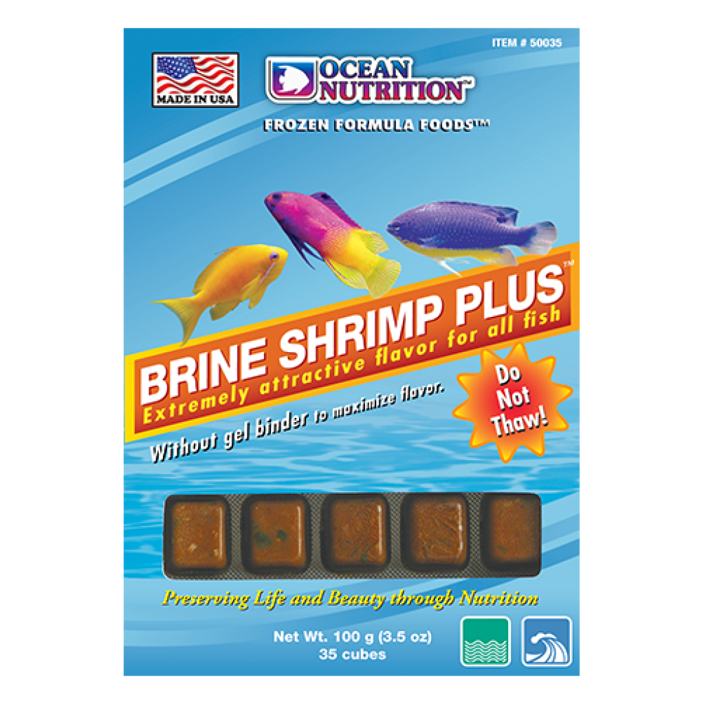 Gourmet Brine Shrimp Cubes - 3.5 oz | Frozen Fish Treats