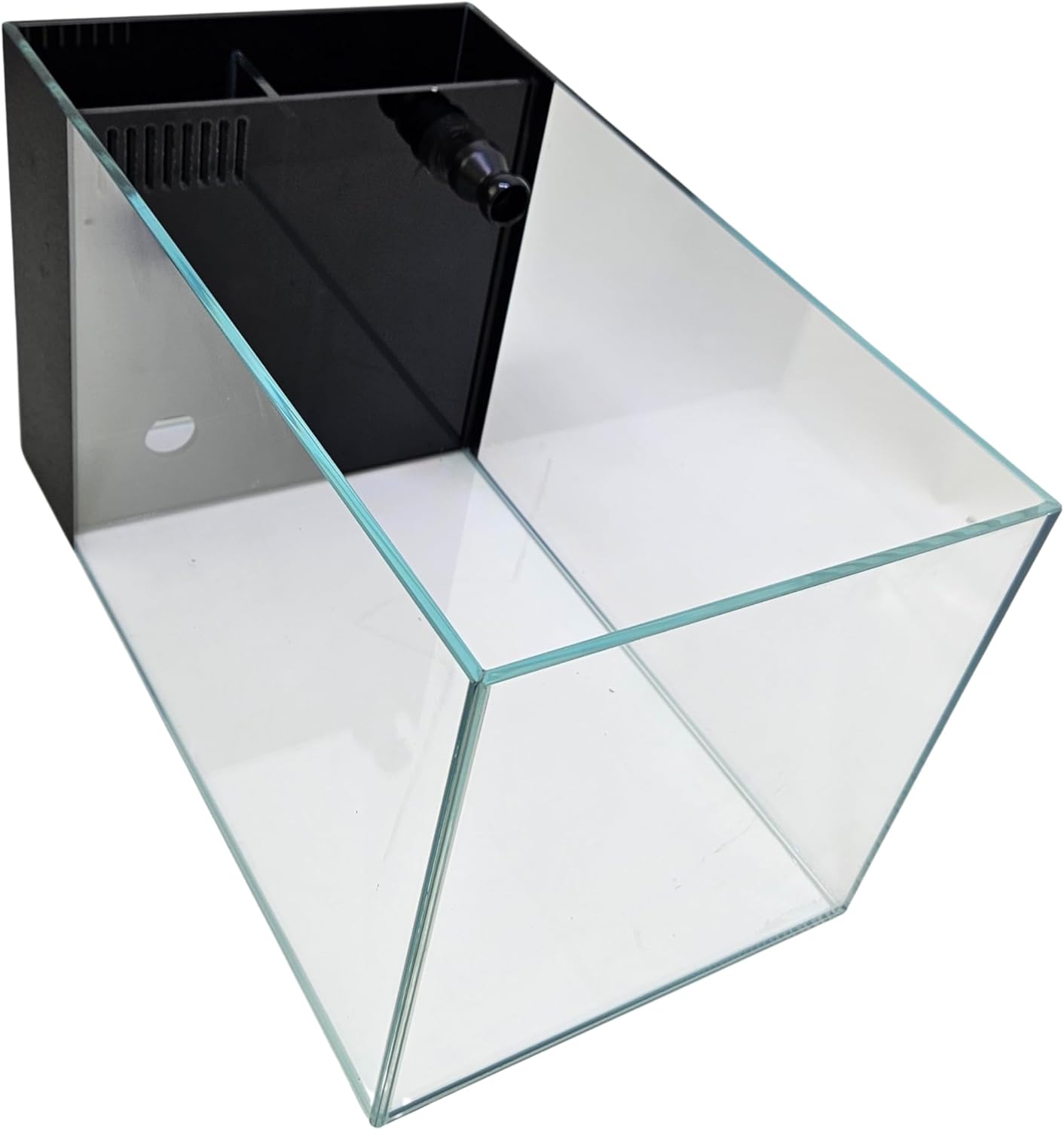 3.8 Gallon Beveled Edge Aquarium | Stylish Freshwater Tank