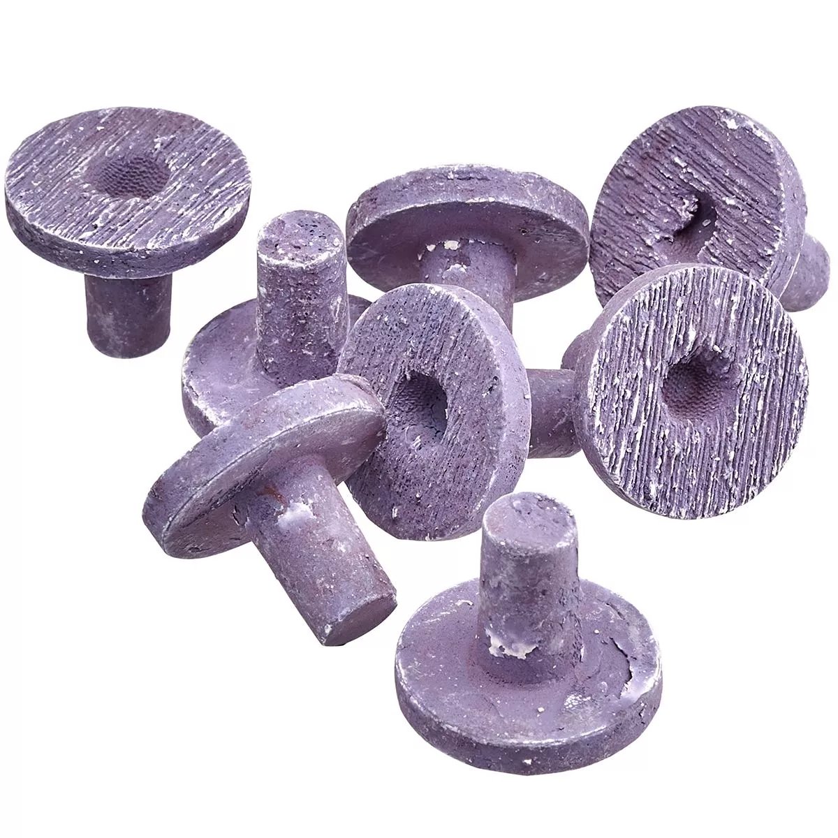 Purple Coral Frag Plugs - 30 pcs | Fragging Supplies