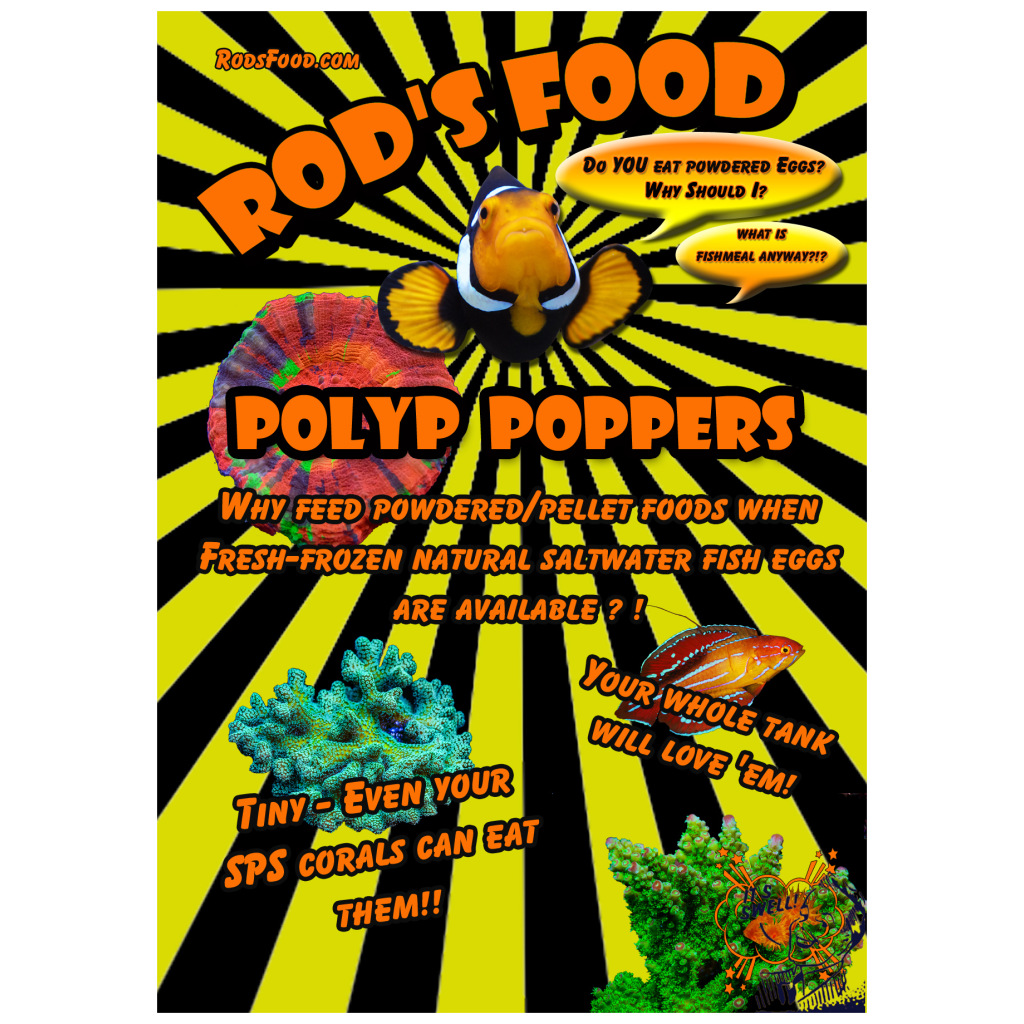 Rod's Food Polyp Poppers - 2 oz | Gourmet Aquarium Treats