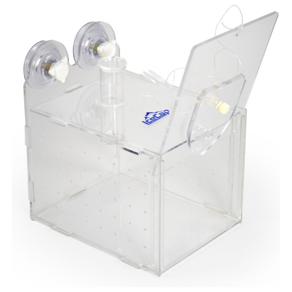 Ice Cap Fish Trap - Large | Essential Aquarium Containers