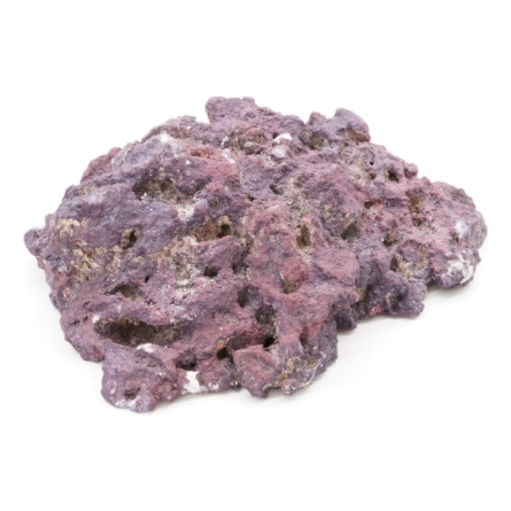 Transform your tank with CaribSea's LifeRock Original (40 lbs)! Perfect ...