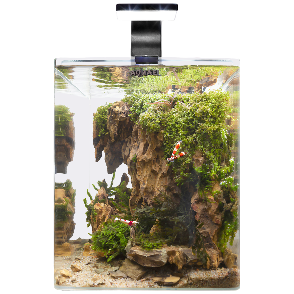 Aquael Opti Bent Tank Set 20 - Freshwater Elegance