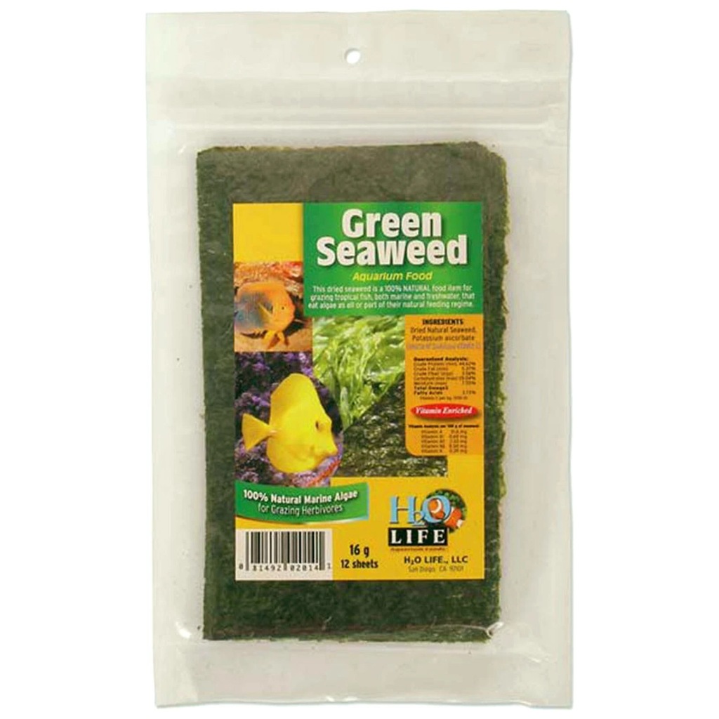 V2O Green Seaweed - 16g | Aquatic Nutrition for Fresh & Salty Fish