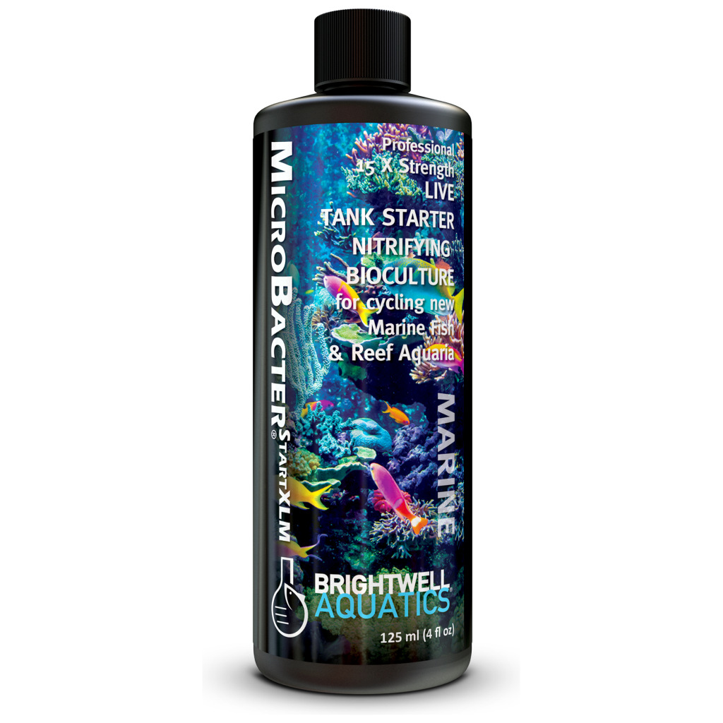 Brightwell Aquatics MicroBacterSTARTXLM - 125ml | Aquarium Additive
