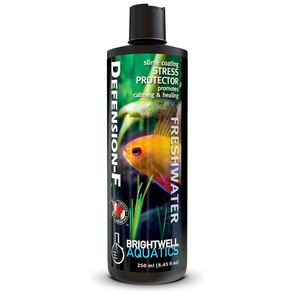 Brightwell Defension F 125ml - Aquarium Additive