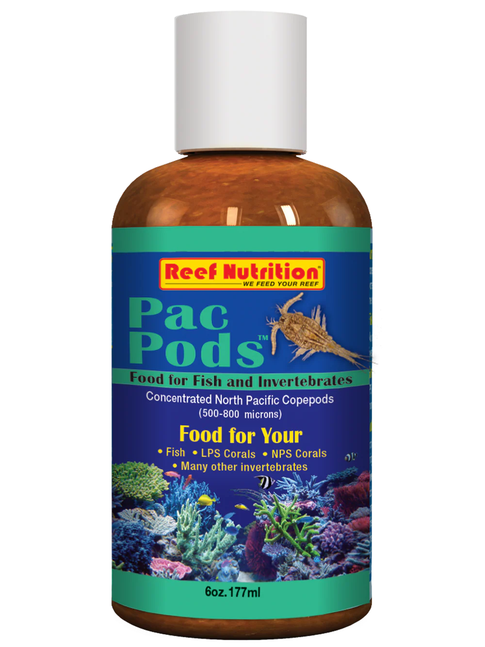 Pac Pods | Gulfstream Aquarium Supplies