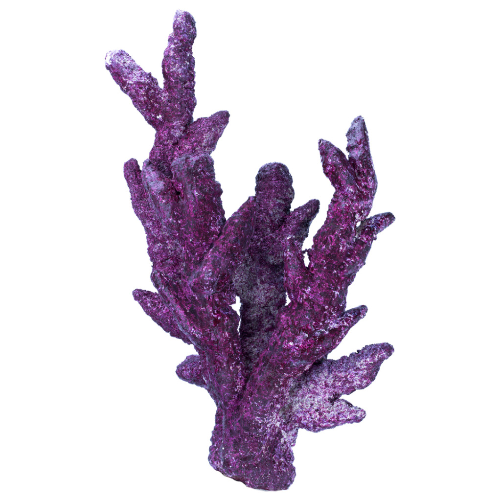 Fancy Branch Rock Mix "35 Pounder" - approx 12-15 pcs | Gulfstream ...